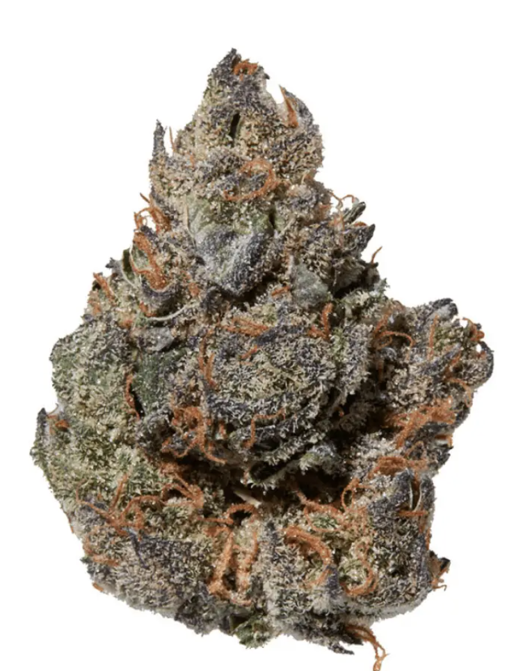 bava med 26/1 SOU-DI Platinum Sour Diesel | Mr Nice