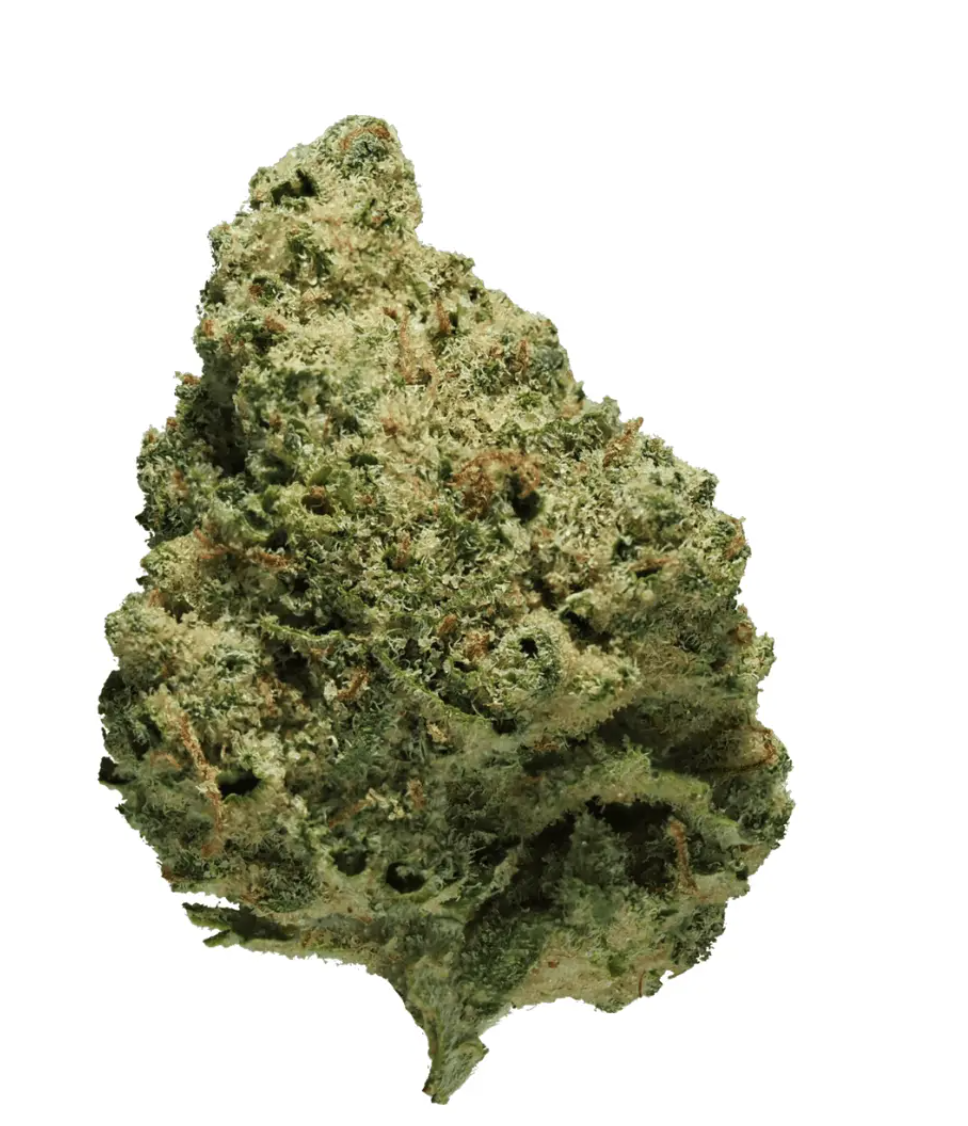 MGF CANN JGN 26/1 - - Motor Crasher | Mr Nice